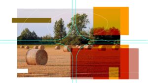 Programma - Spot Groningen